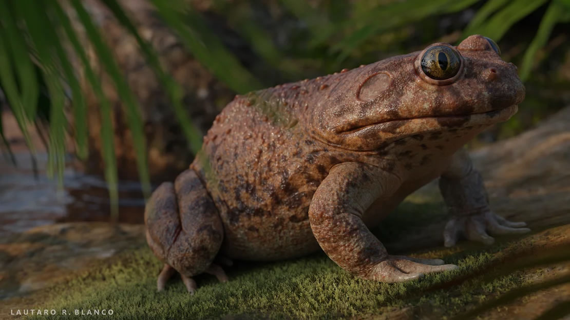 Hallan una nueva especie de rana prehistórica - Salto Grande Extra